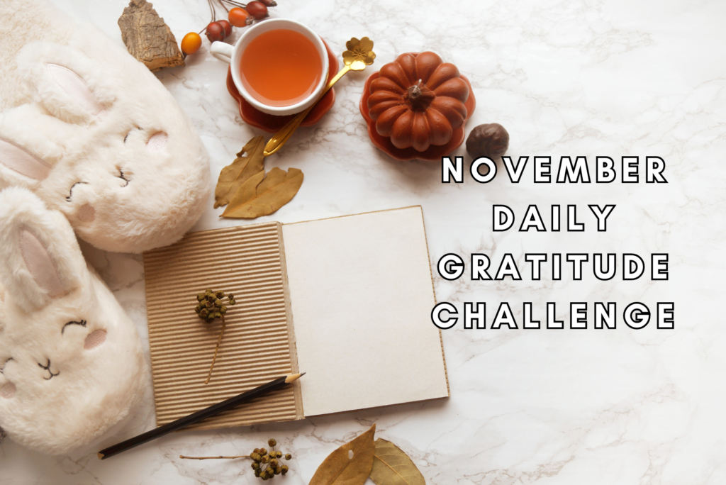 November Gratitude Challenge | Change Your Life - A Dash of Kam